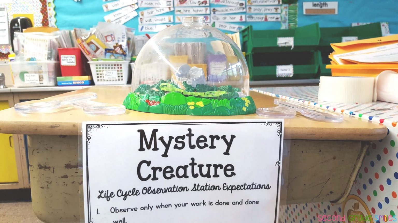 Inquiry-Based Learning with Mystery Creatures - Second Grade Smiles