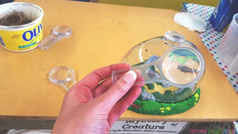 Inquiry-Based Learning with Mystery Creatures - Second Grade Smiles